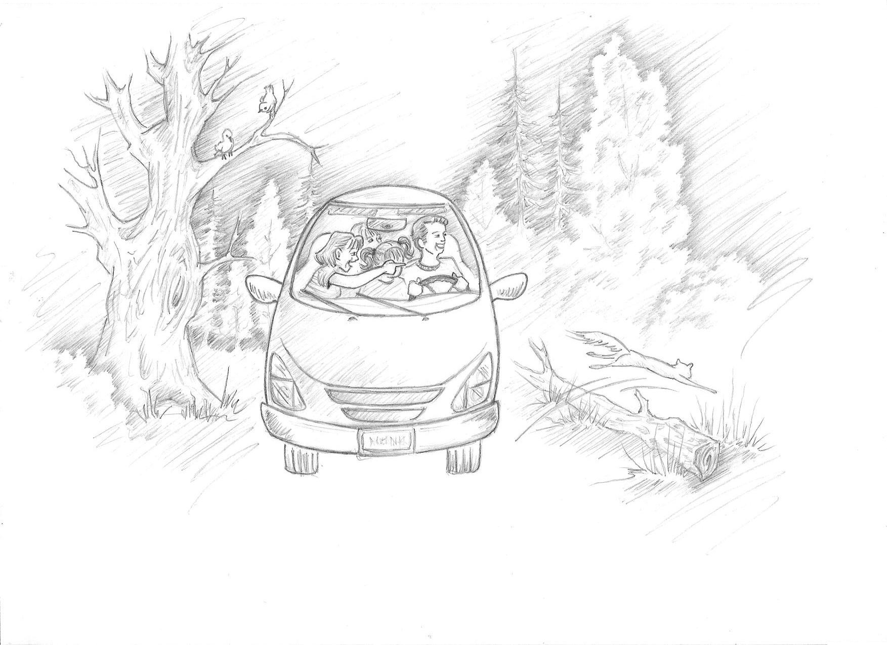 Testimonies | Skunk Tales Online